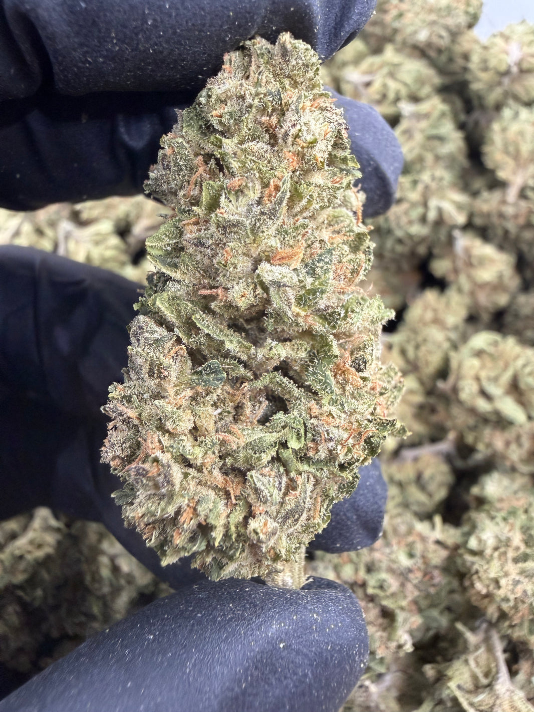 Products – Frosty Farmz